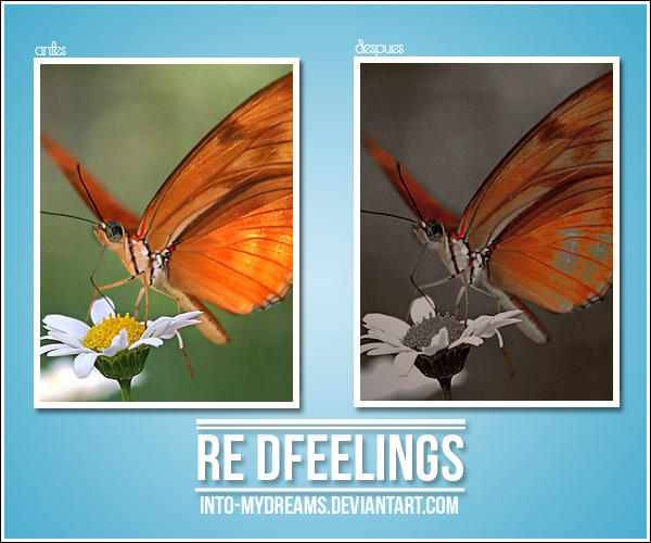 Red Feelings Action '2 by Into-mydreams on DeviantArt