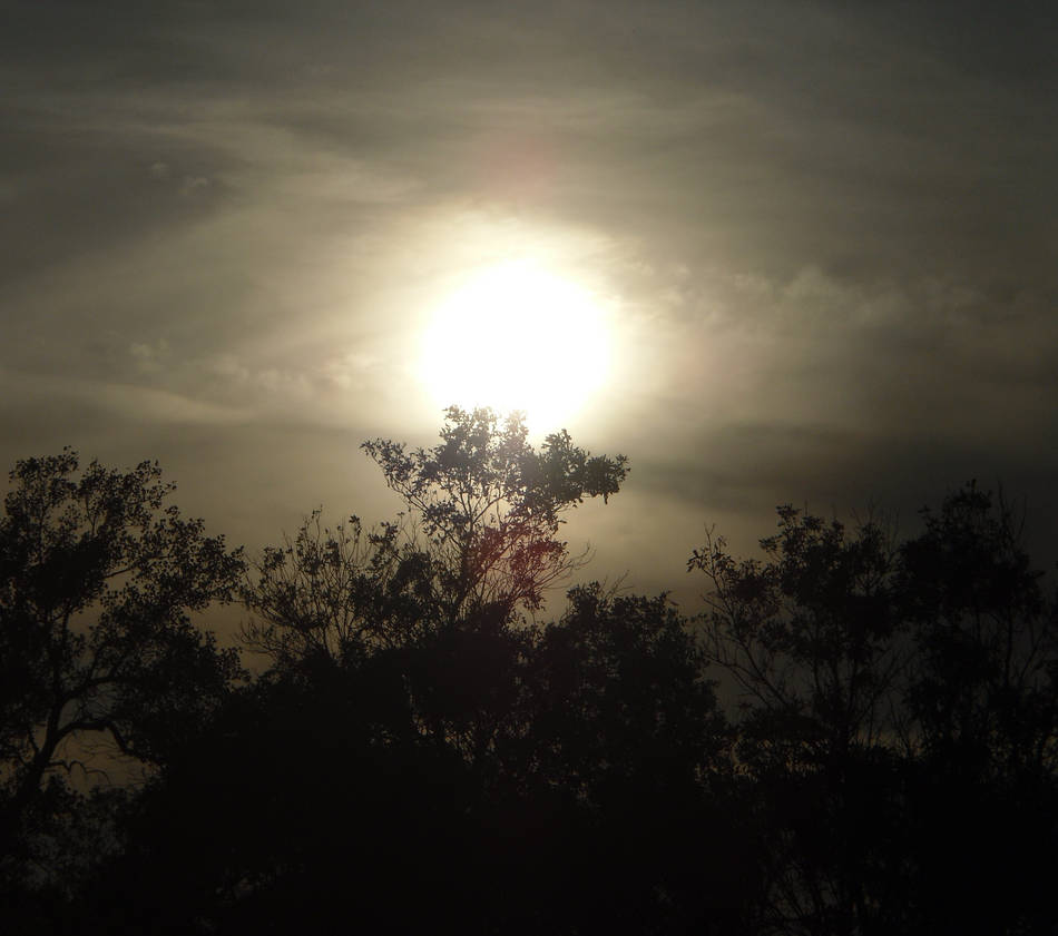 Dark Sunrise by elfgirl12 on DeviantArt