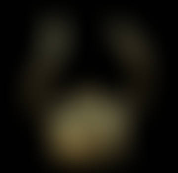 Helga standing by dazinbane on DeviantArt