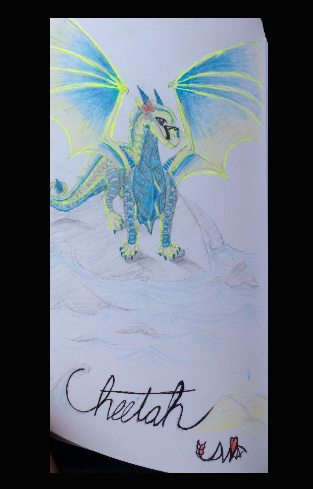 Cheetah by DragonmoNerd on DeviantArt