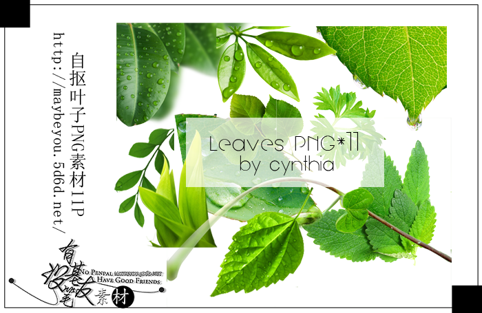 Leaves Png by CynthiaY on DeviantArt