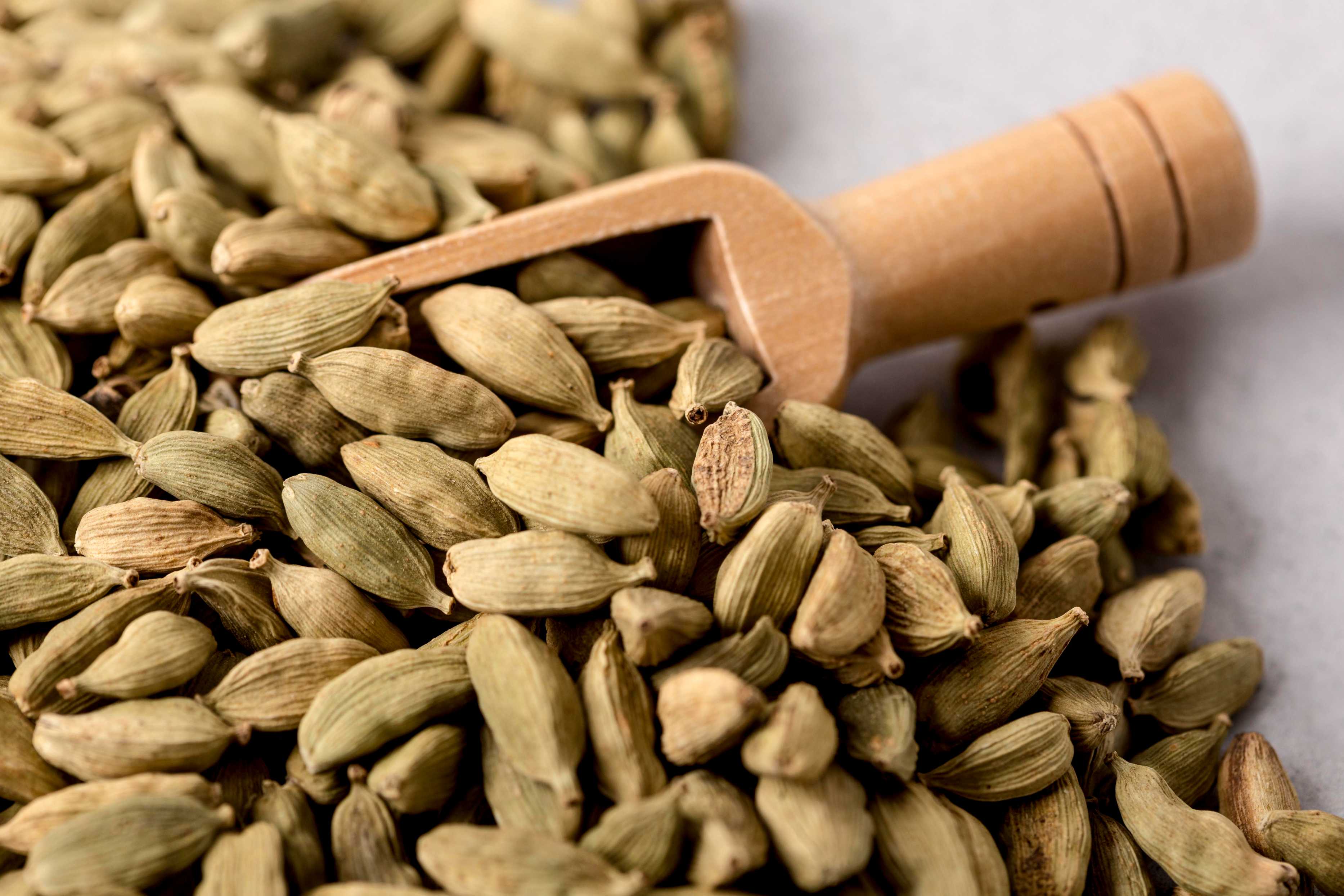 Small Green Cardamom: Authentic Spice from UAE by financialblog on ...