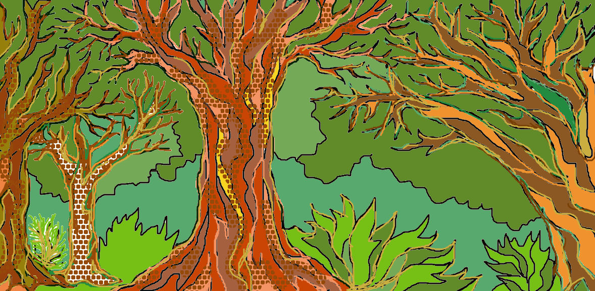 The Unknown and Untouched Virgin Forest by Deepite on DeviantArt