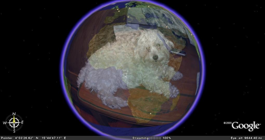 Circle or Square by drniles-crane on DeviantArt