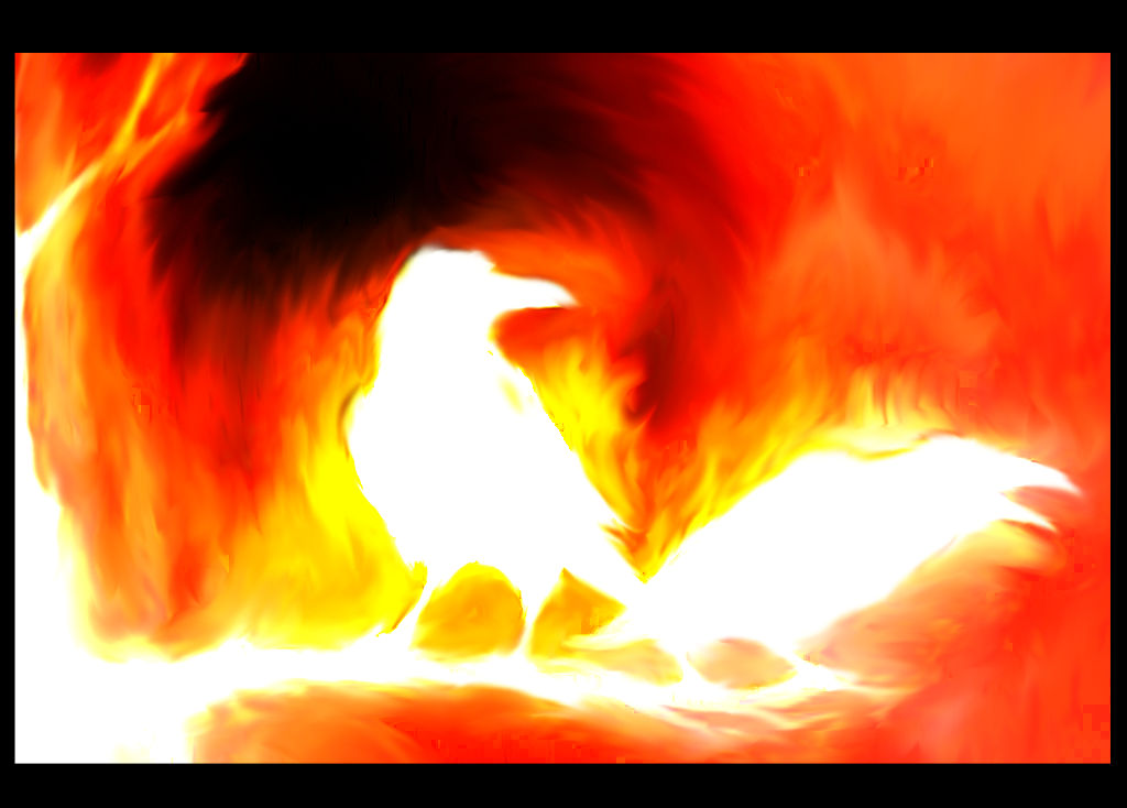 Bird Animation by xiDragonx on DeviantArt