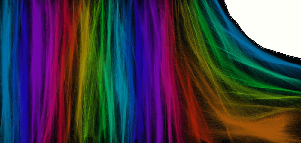 Color of the night by StarClanMoonLight on DeviantArt