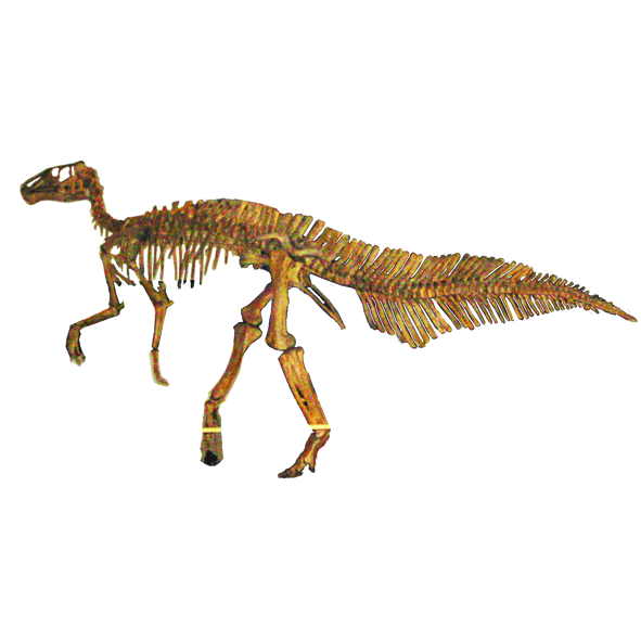 Kritosaurus australis by fotostomias on DeviantArt