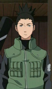 Character Biography- Shikamaru by Edward-Elric-Girl-24 on DeviantArt