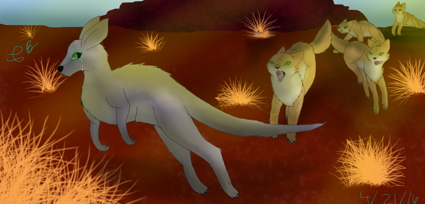 Kangaroo by Wildclaw6460 on DeviantArt