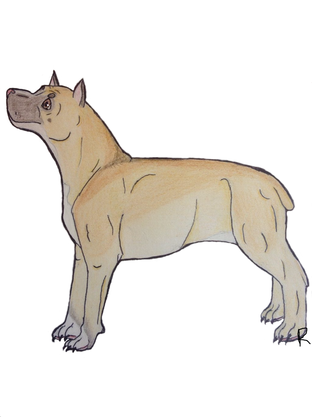 Argos, the loyal hound by Rugovina on DeviantArt