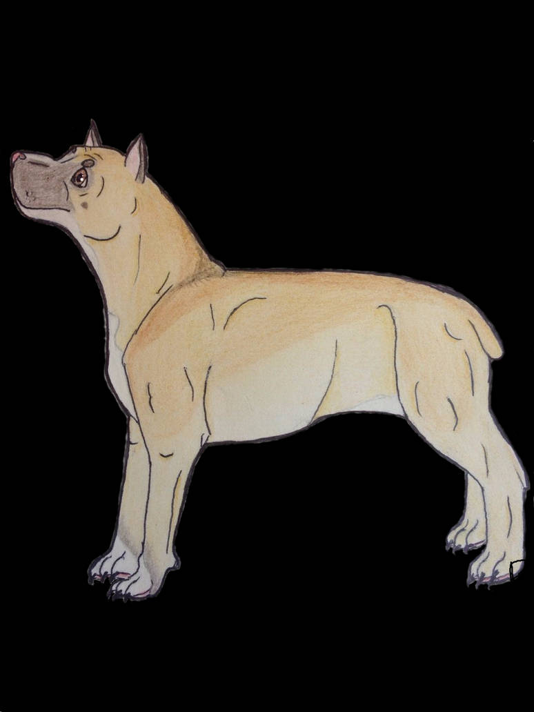 Argos, the loyal hound by Rugovina on DeviantArt
