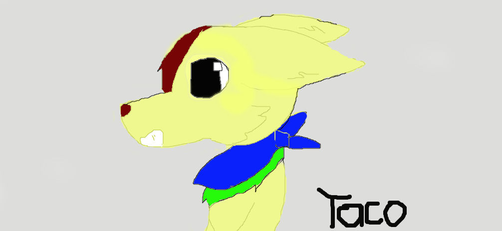 Taco by Nightcoreneko2 on DeviantArt