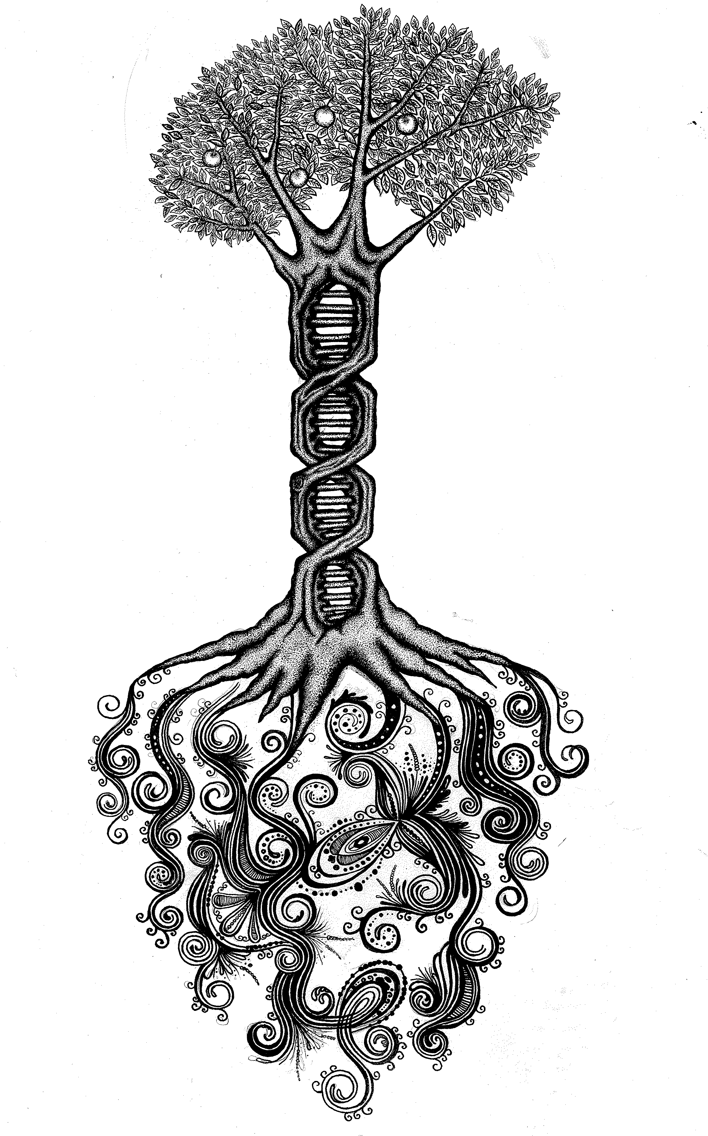 Dna Tree Drawing
