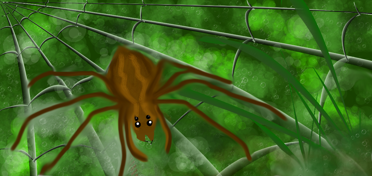 spider doodle by TheLizardKingIgnitus on DeviantArt