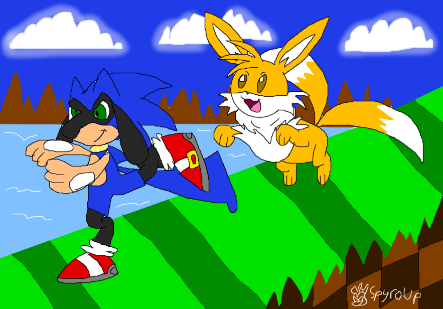 Riolu and Eevee as Sonic and Tails by SpyroUp on DeviantArt