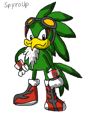Classic Jet the Hawk by SpyroUp on DeviantArt