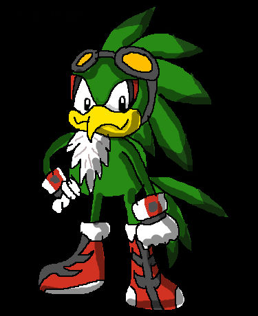 Classic Jet the Hawk by SpyroUp on DeviantArt