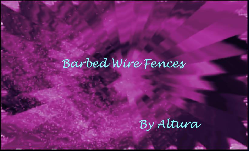 Barbed Wire Fences by BleedingHeartsSoc on DeviantArt