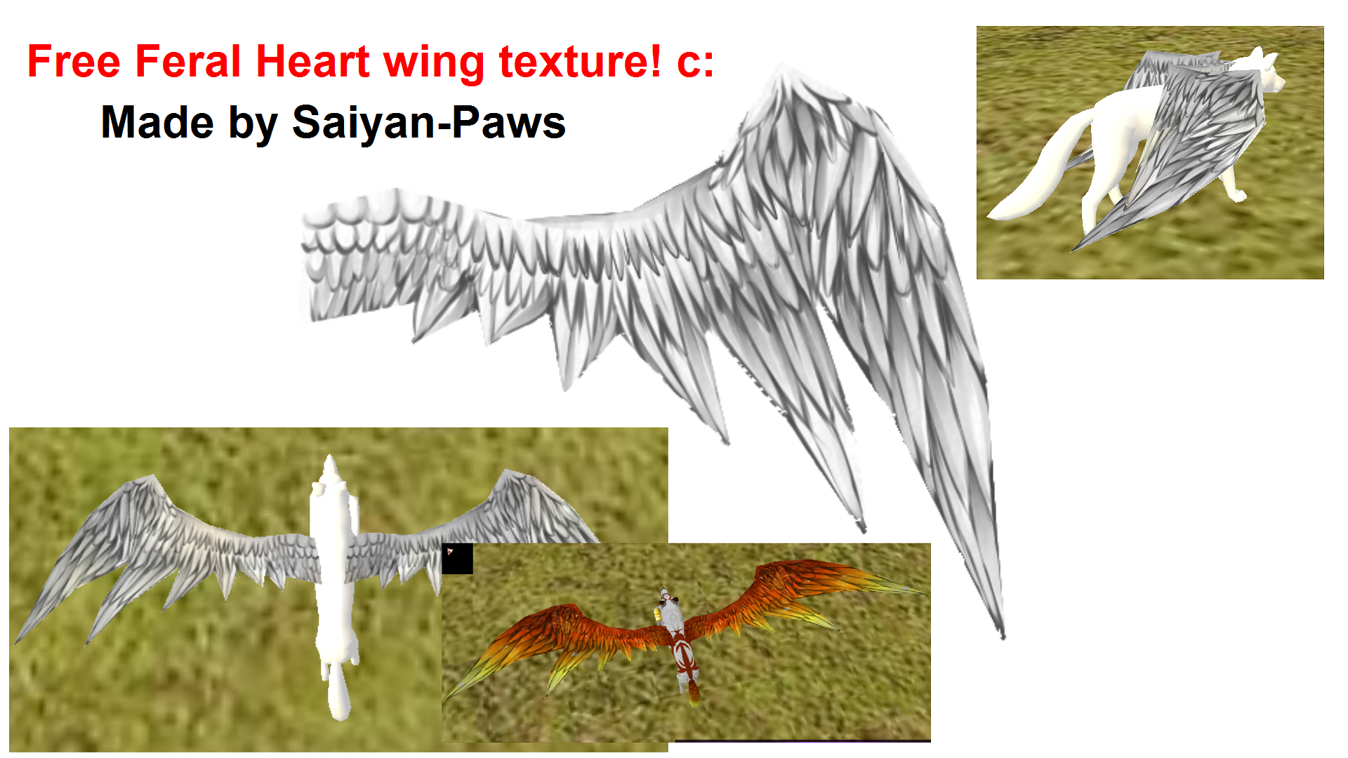 Wing Texture