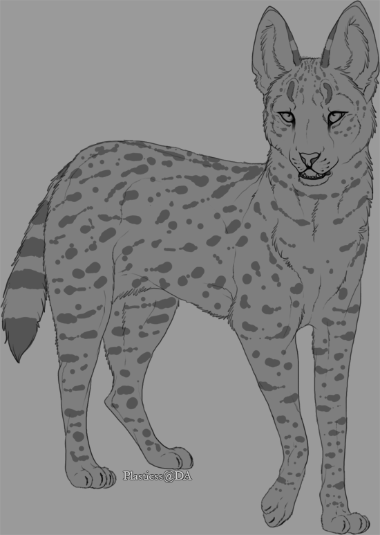 V.1 Serval Lineart by Plasticss on DeviantArt