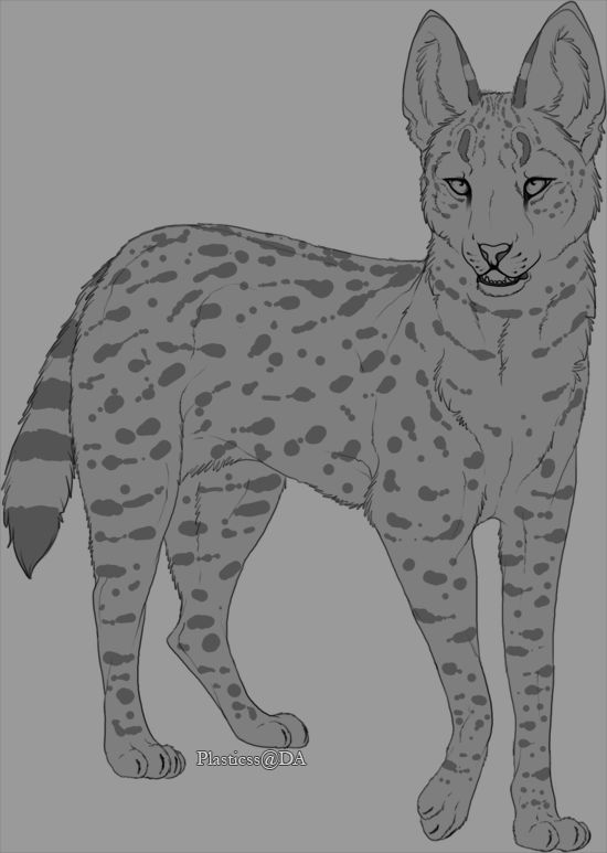 V.1 Serval Lineart by Plasticss on DeviantArt