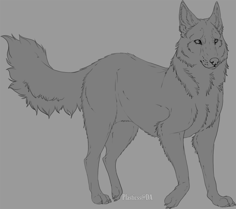 Wolf Character Sheet Lineart