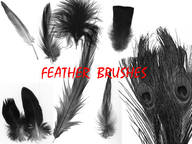Feather Brushes by LoS-Stock on DeviantArt