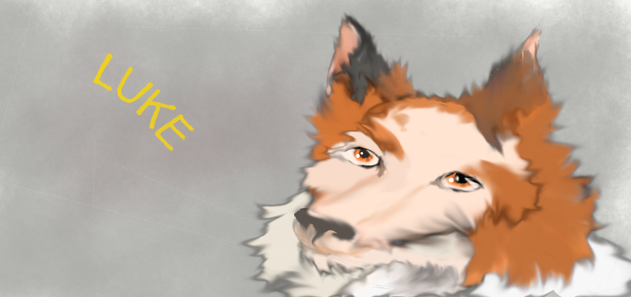 My favorite puppy dog Luke by Rangiku24 on DeviantArt