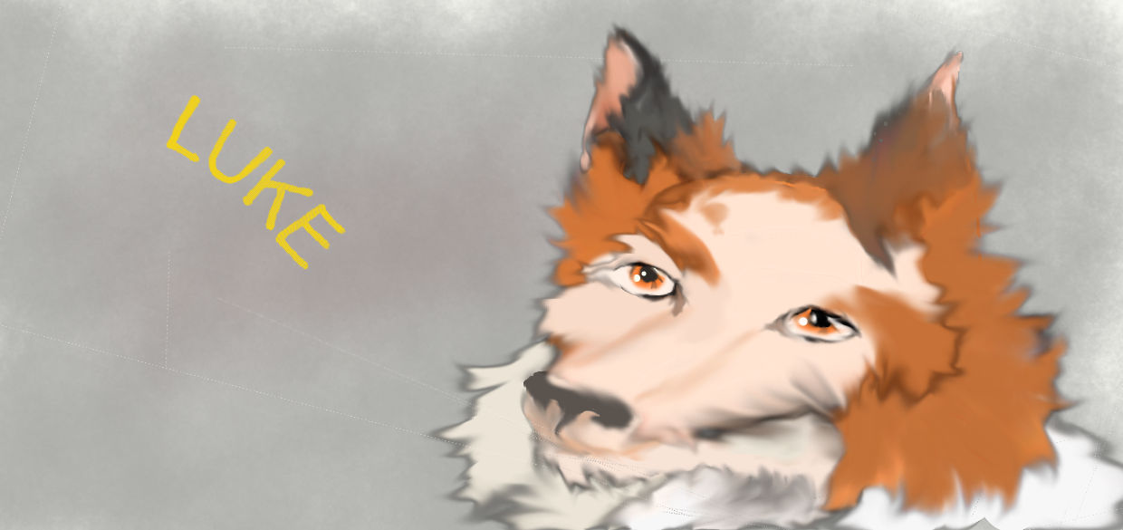 My favorite puppy dog Luke by Rangiku24 on DeviantArt