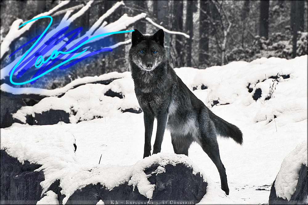 Zean Edit 2 by MutantTwinkie on DeviantArt