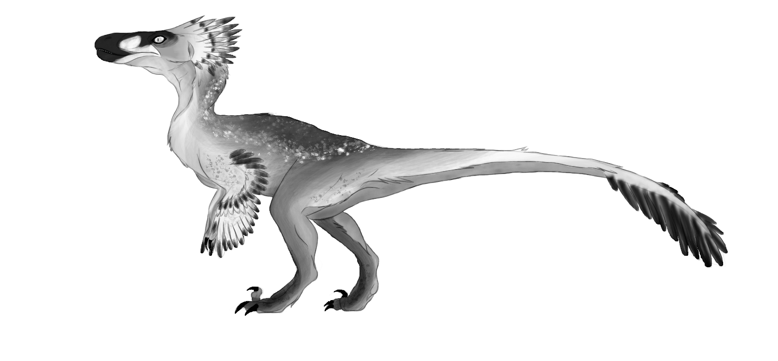 Utahraptor by Albaharmamar on DeviantArt