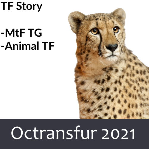 Stylish Shirt - Cheetah TF/TG [MtF] by Roundabbout on DeviantArt