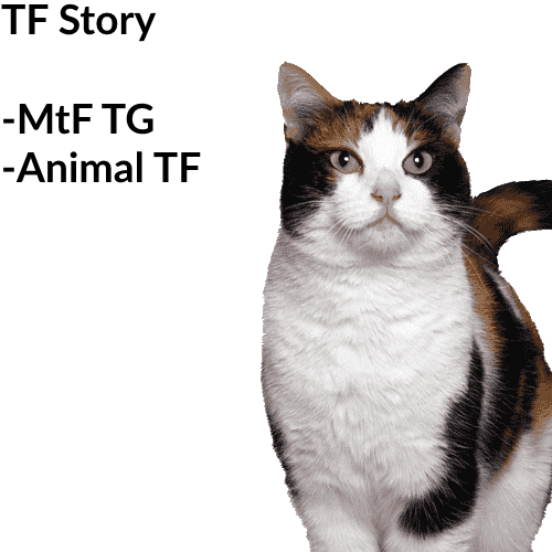 Shelter - Cat TF/TG [MtF] [Commission] by Roundabbout on DeviantArt