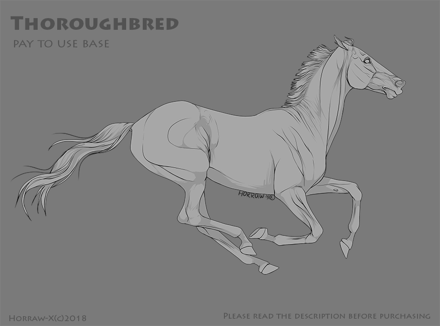 Thoroughbred|P2U base| by HorRaw-X on DeviantArt