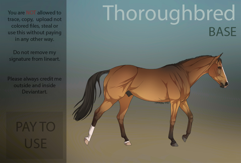 Thoroughbred |P2U Base| by HorRaw-X on DeviantArt