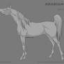 Percheron |P2U BASE| by HorRaw-X on DeviantArt