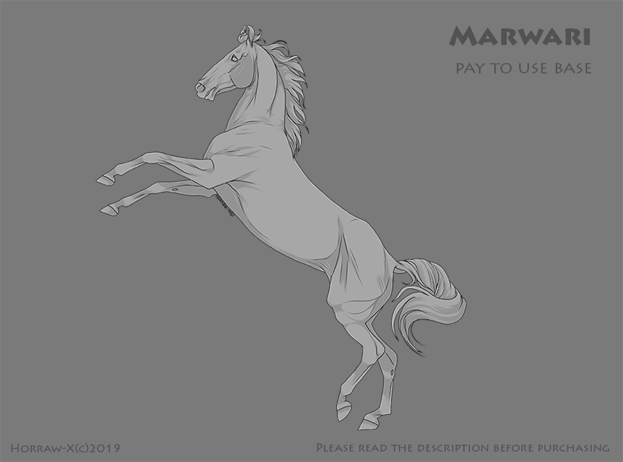 Marwari rearing|P2U base| by HorRaw-X on DeviantArt