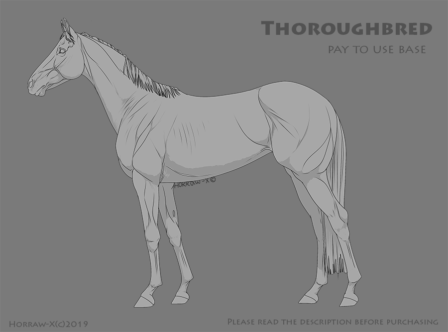 Thoroughbred|P2U base| by HorRaw-X on DeviantArt