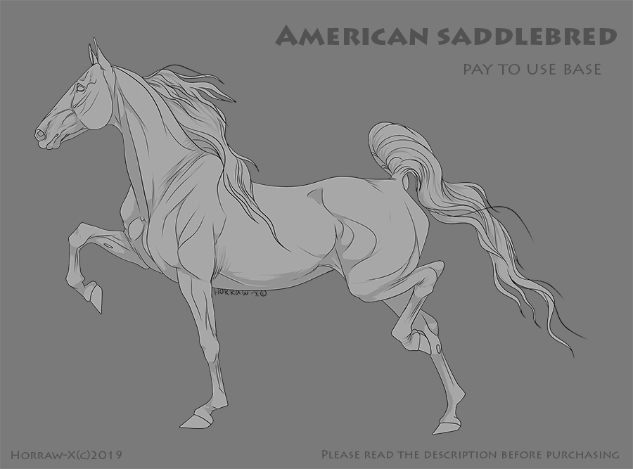 American Saddlebred |P2U base| by HorRaw-X on DeviantArt