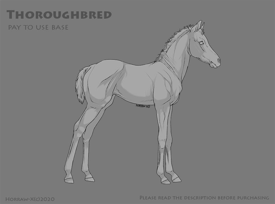 Thoroughbred|P2U Base| by HorRaw-X on DeviantArt
