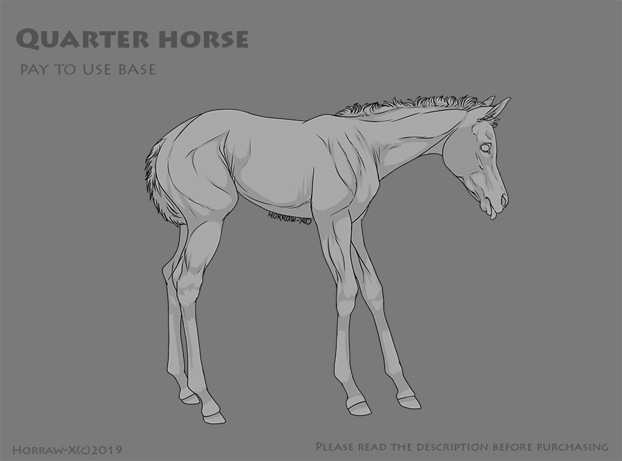 Quarter horse |P2U BASE| by HorRaw-X on DeviantArt