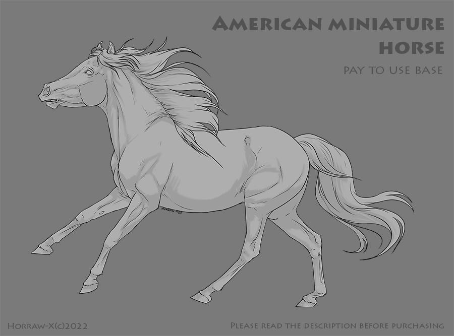American Miniature Horse|P2U Base| by HorRaw-X on DeviantArt