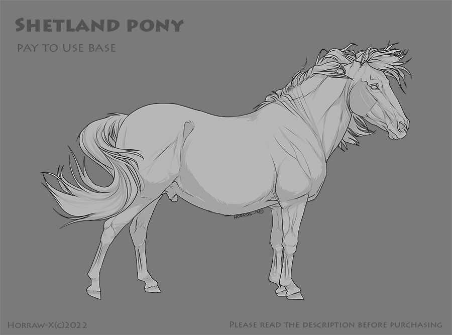 Shetland Pony|P2U Base| by HorRaw-X on DeviantArt