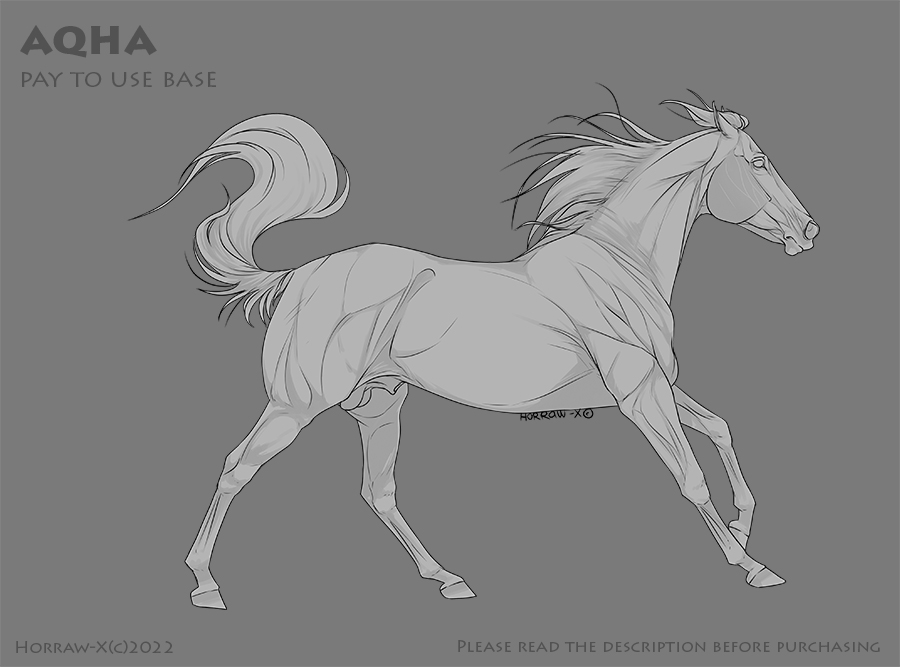 AQHA|P2U base| by HorRaw-X on DeviantArt