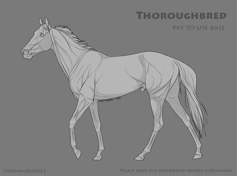 Thoroughbred|P2U Base| by HorRaw-X on DeviantArt