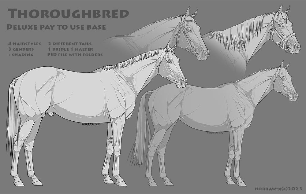 DELUXE Thoroughbred base |P2U by HorRaw-X on DeviantArt