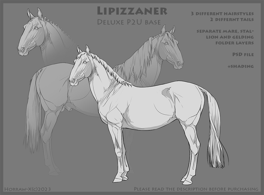P2U Deluxe Base| Lipizzaner by HorRaw-X on DeviantArt