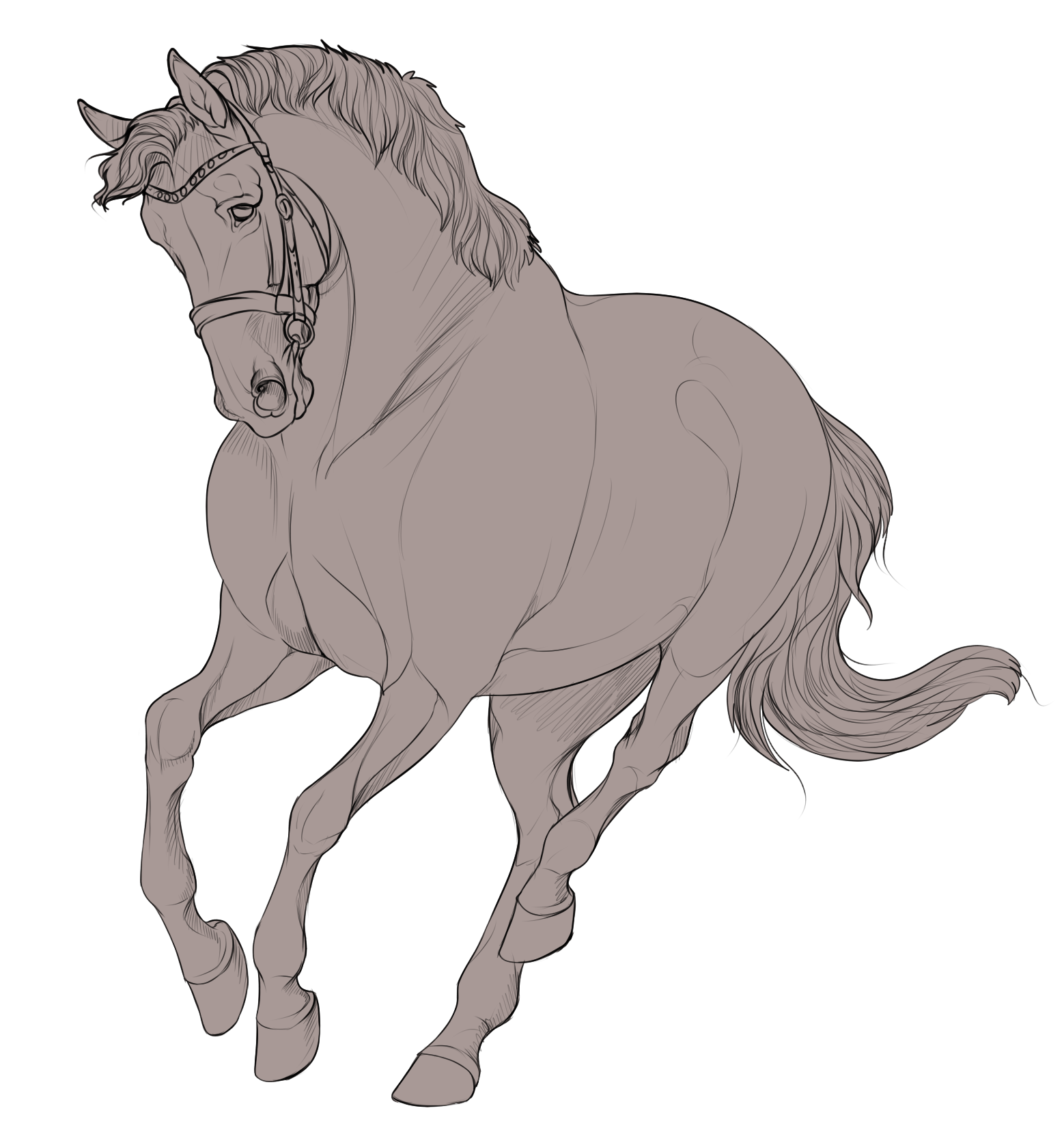 Free To Use Png File Added By Ebbarie On Deviantart