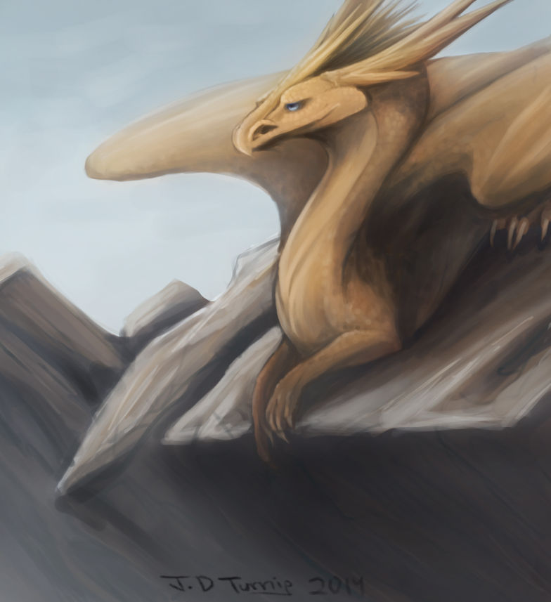 Roost by TurnipStewdios on DeviantArt