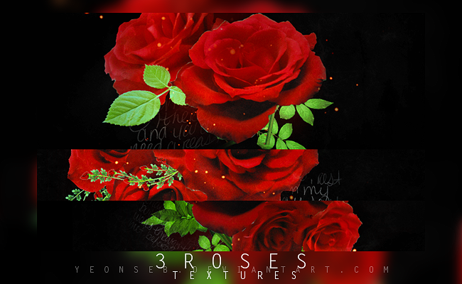 3.roses-textures. by Yeonseb on DeviantArt